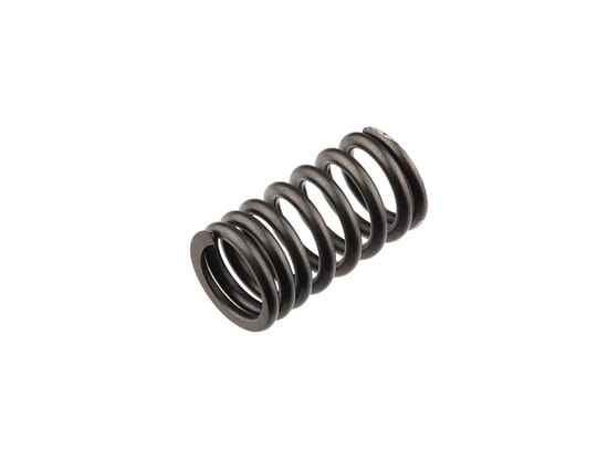 Valve Spring, Early MX5 Mk1 1.6
